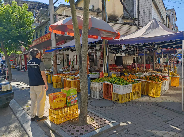 云城区人民政府门户网站